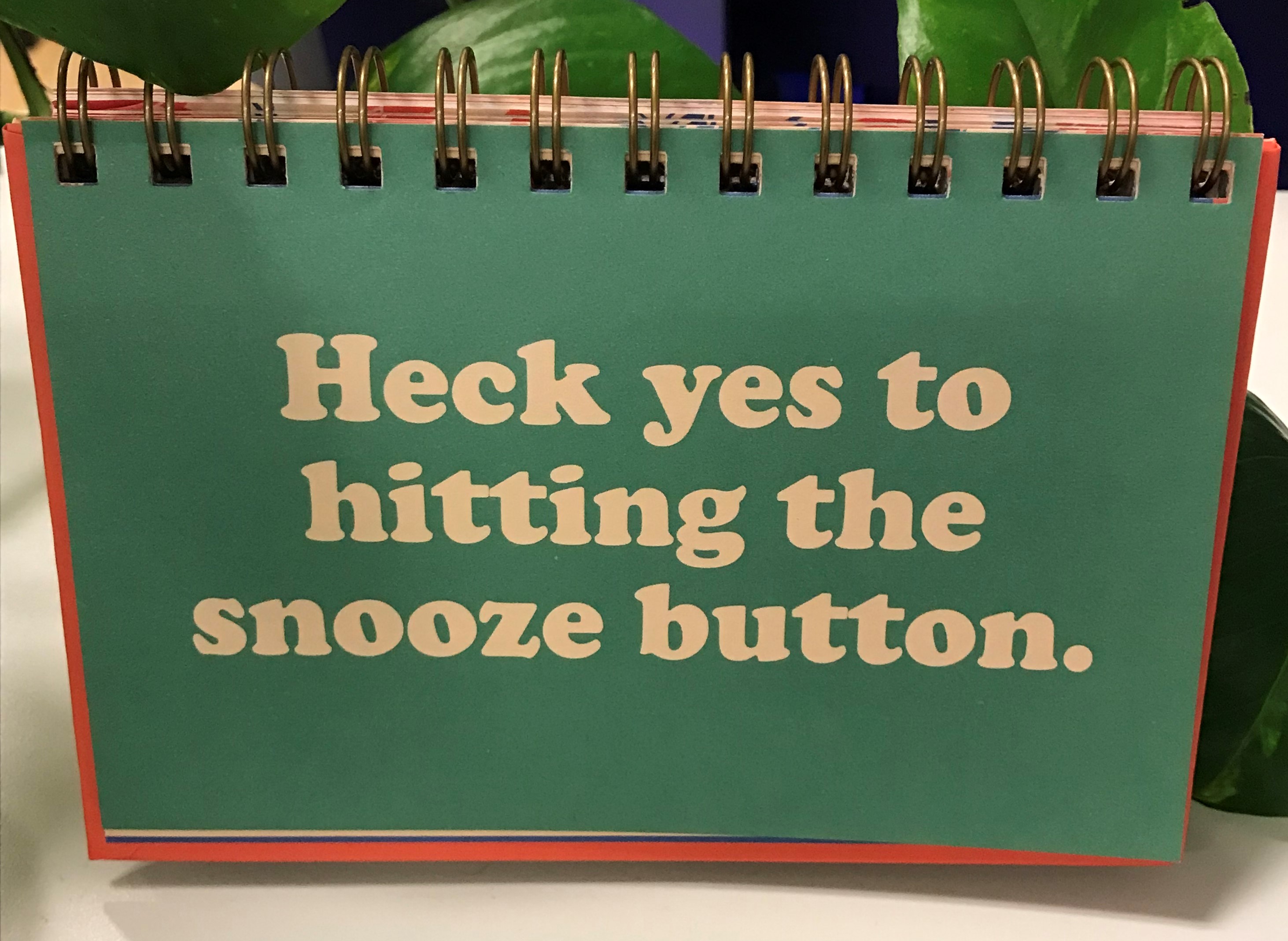 On physical therapy and self defense | Writing and Martial Arts